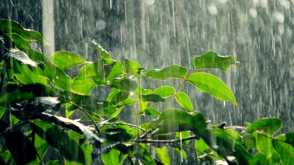 Mauritius Remains Under Heavy Rain Warning Until 12:00 this Thursday
