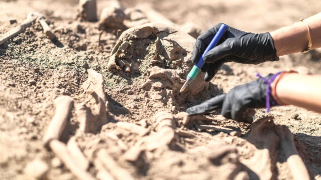 Supreme Court Orders Exhumation of a Corpse Buried... 24 Years ago!