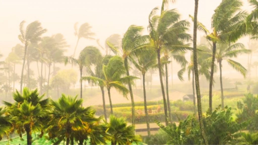 Intense Cyclone Grant 2,123km Away With No Direct Threat For 3 Days