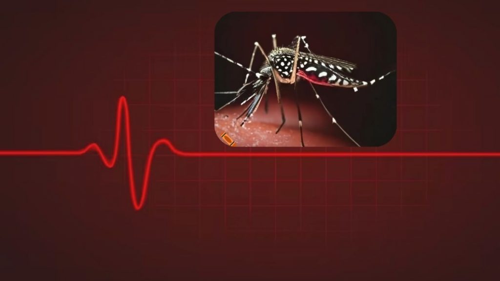Mauritius: 2nd Dengue Death - Authorities on High Alert