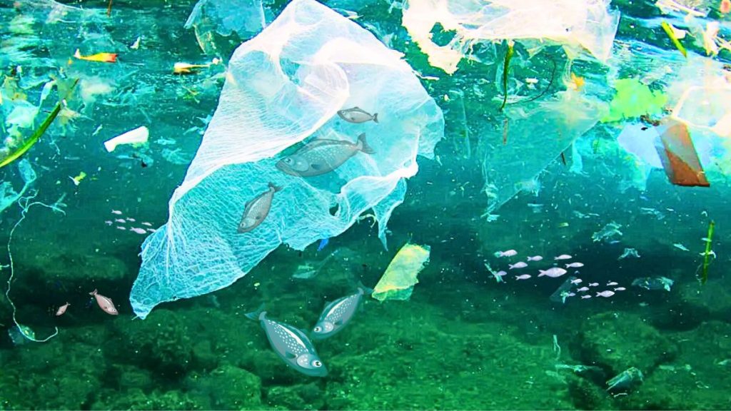 Japan Funds Major Project to Tackle Marine Pollution in Mauritius