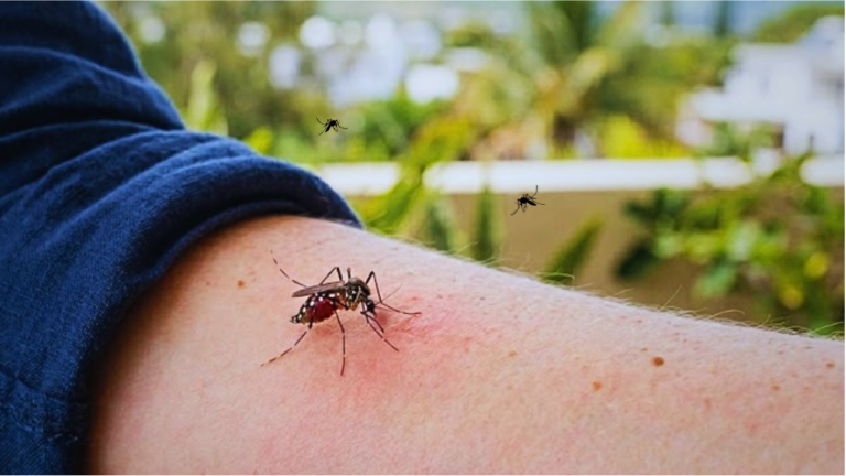 Mauritius Battles Mosquito Virus Outbreak with 102 Active Cases Reported